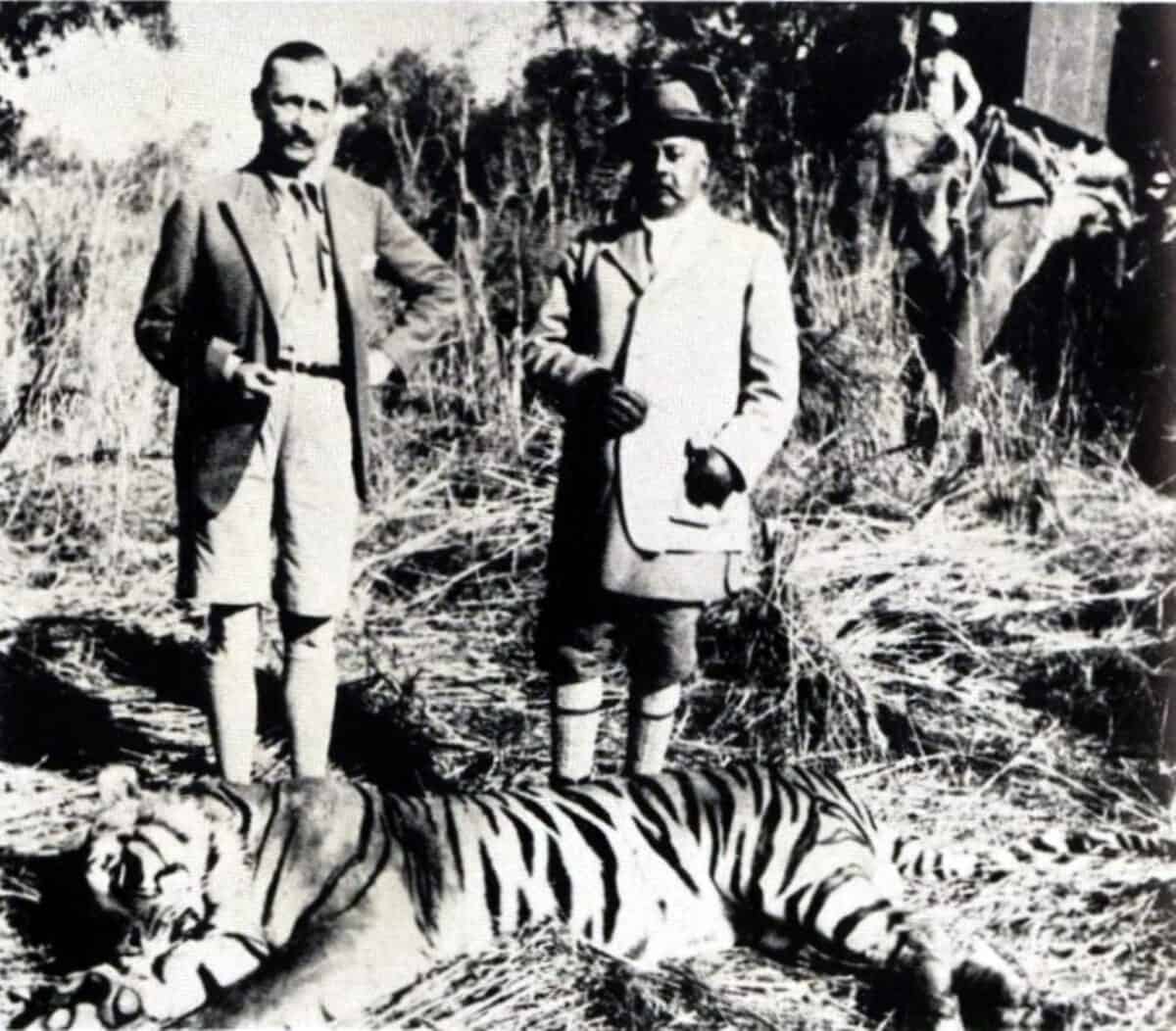 The Threats Tigers Face Today—From Poaching to Habitat Loss - Animals ...