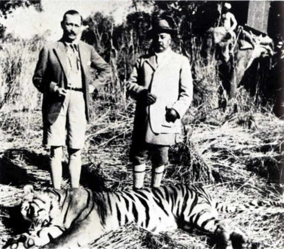 The Threats Tigers Face Today—From Poaching to Habitat Loss - Animals ...