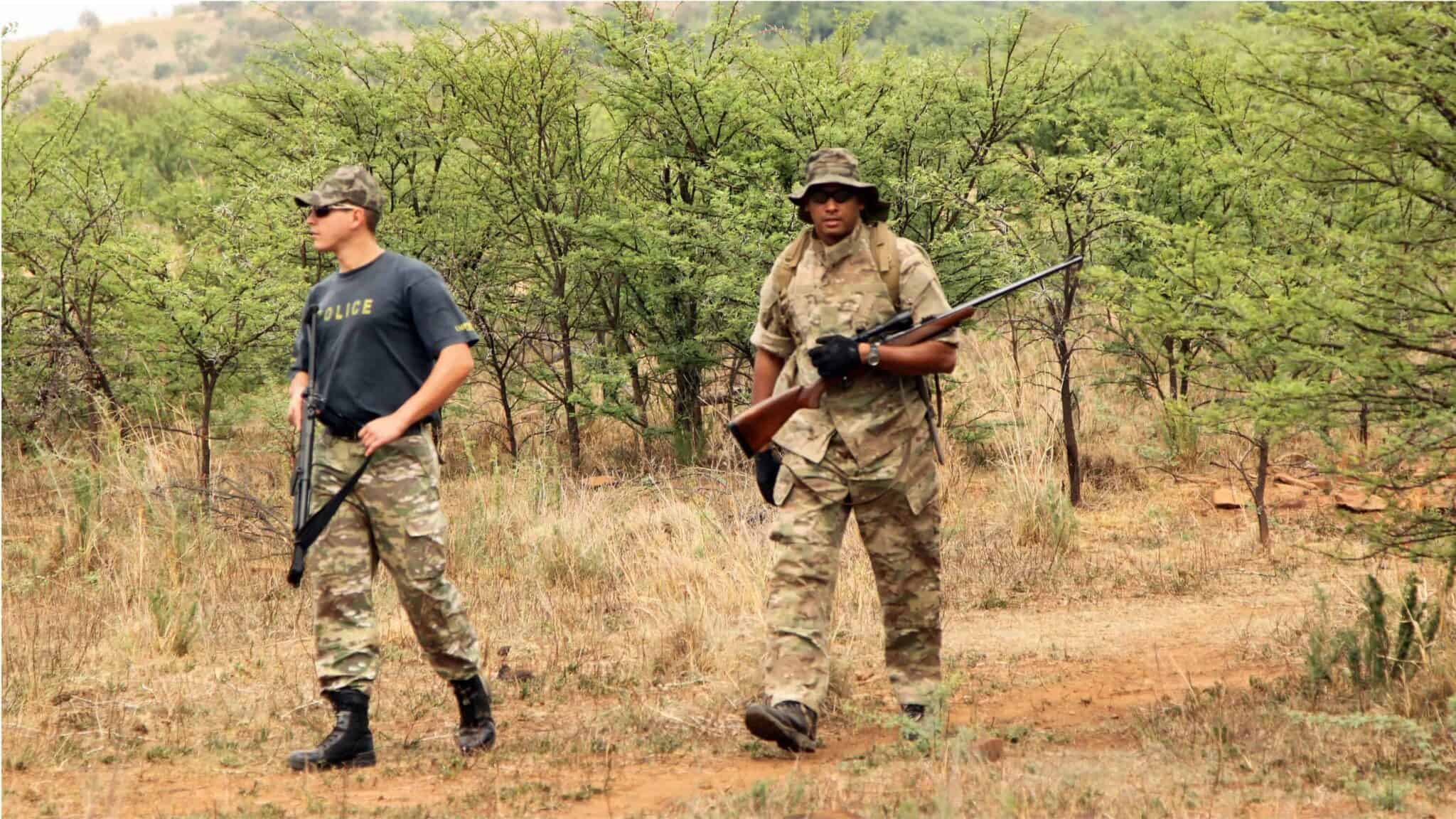 The Threats Tigers Face Today—From Poaching to Habitat Loss - Animals ...