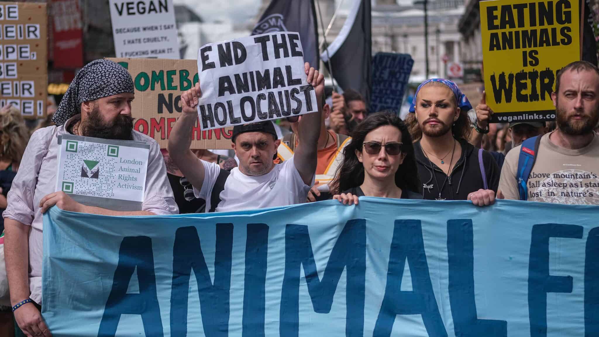 What Is the Difference Between Animal Welfare and Animal Rights ...