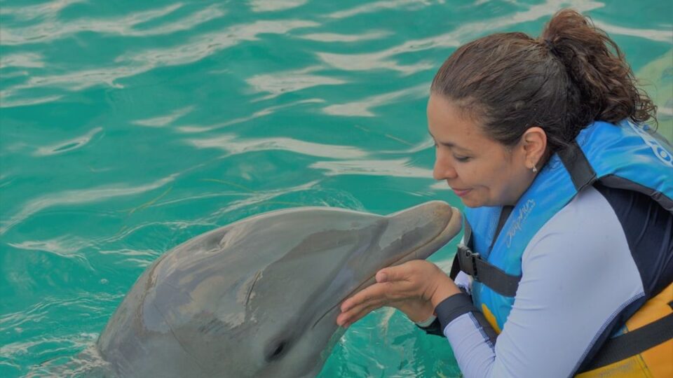 8 Times Dolphins Saved Humans - Coincidence or Instinct? - Animals ...