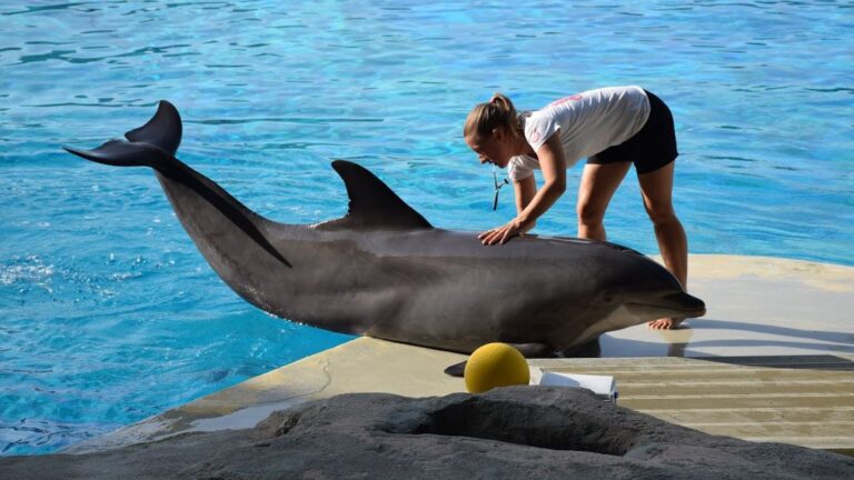 10 Animal Behaviors So Intelligent They Still Baffle Scientists ...