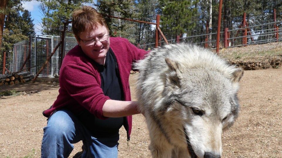 Never Turn Your Back on These 7 Wild Animals - Experts Explain Why ...