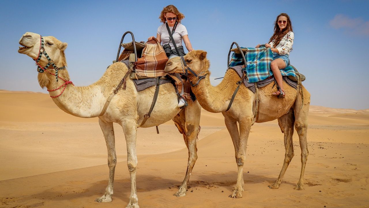 Could You Outlast a Drought in the Desert Like a Camel? Scientists ...