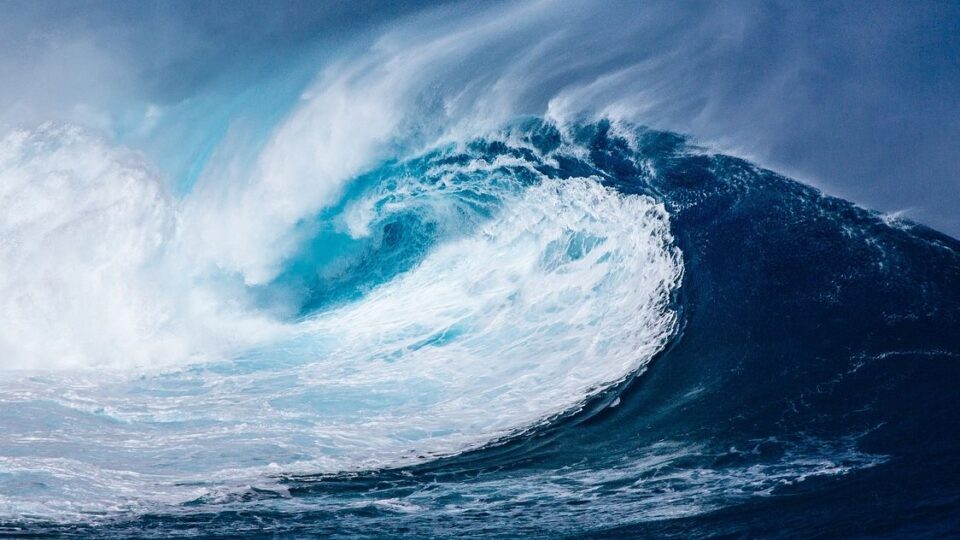Could You Outrun a Tsunami With a Horse? - Animals Around The Globe