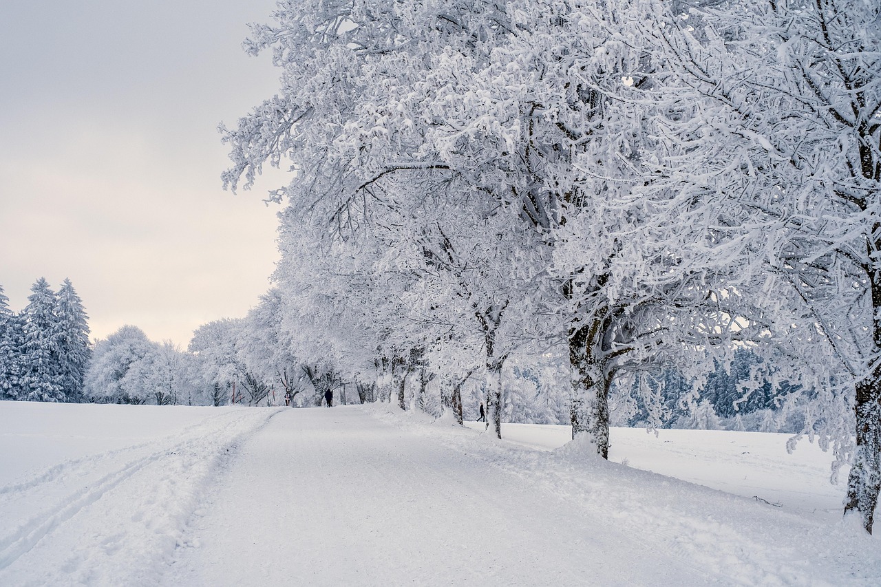 Arctic Surge Ahead: Forecasts Signal Extended Cold Wave for U.S. and ...