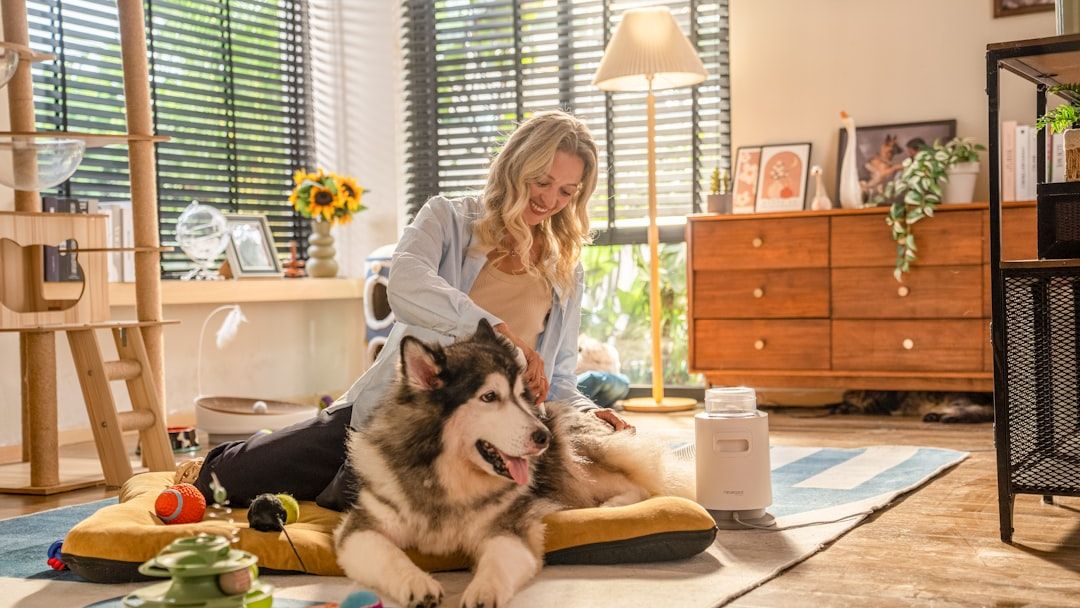 10 Common Mistakes Pet Owners Make (And How to Avoid Them!) - Animals ...