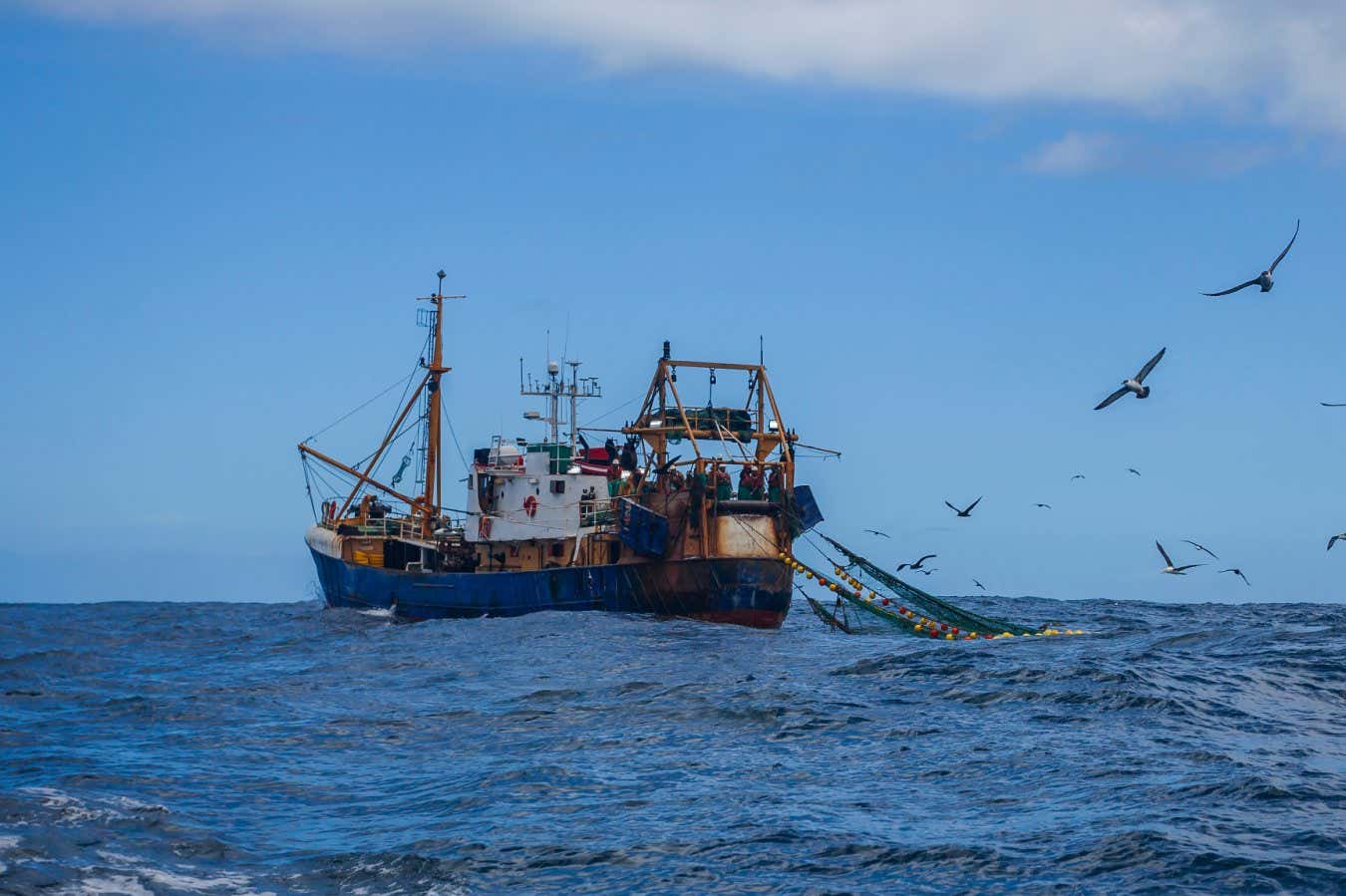A New Era for Marine Conservation: High Seas Treaty Becomes ...