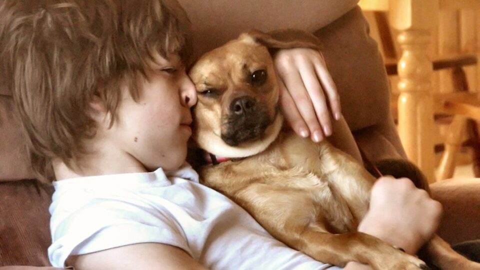 10 Surprising Ways Dogs Can Sense Your Emotions and Respond - Animals ...