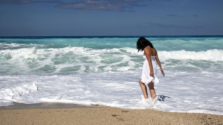 Zodiac Signs That Would Love Living on a Beach - Animals Around The Globe