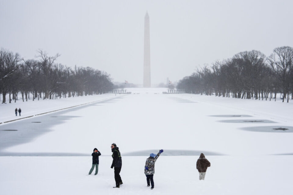 Slushy Snow Grips DC Region with Light Showers Forecast - Animals ...