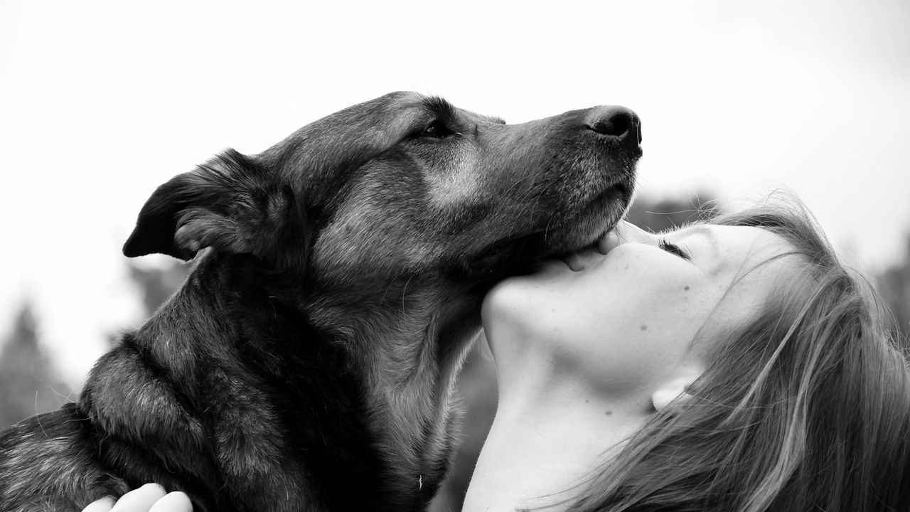 12 Amazing Ways Your Dog Can Sense Your Mood and Respond to It ...