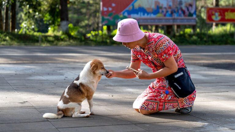 Are Animals Conscious? Some Scientists Like to Believe So - Animals ...