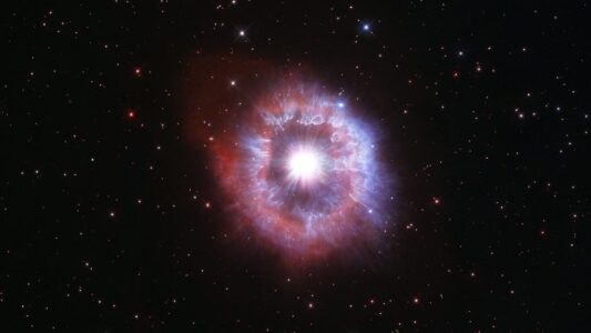 Latest News & Expert Insights from the Animal Kingdom - Animals Around ...