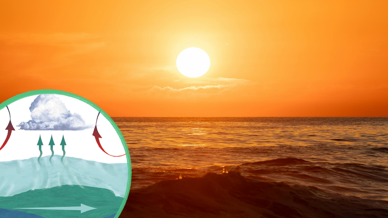 Scientists Say A Potentially Historic Super El Niño Is Taking Shape ...
